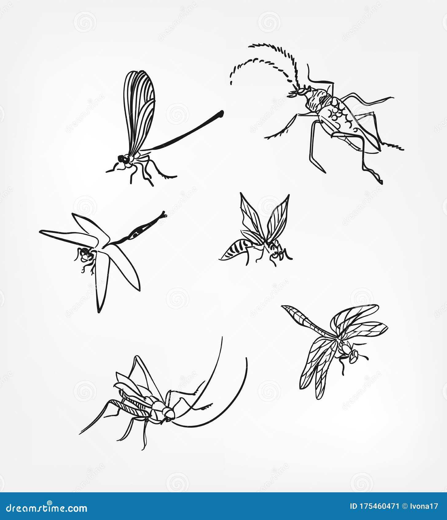 Insects Set Sketch Dragonfly Design Elements Isolated Stock ...