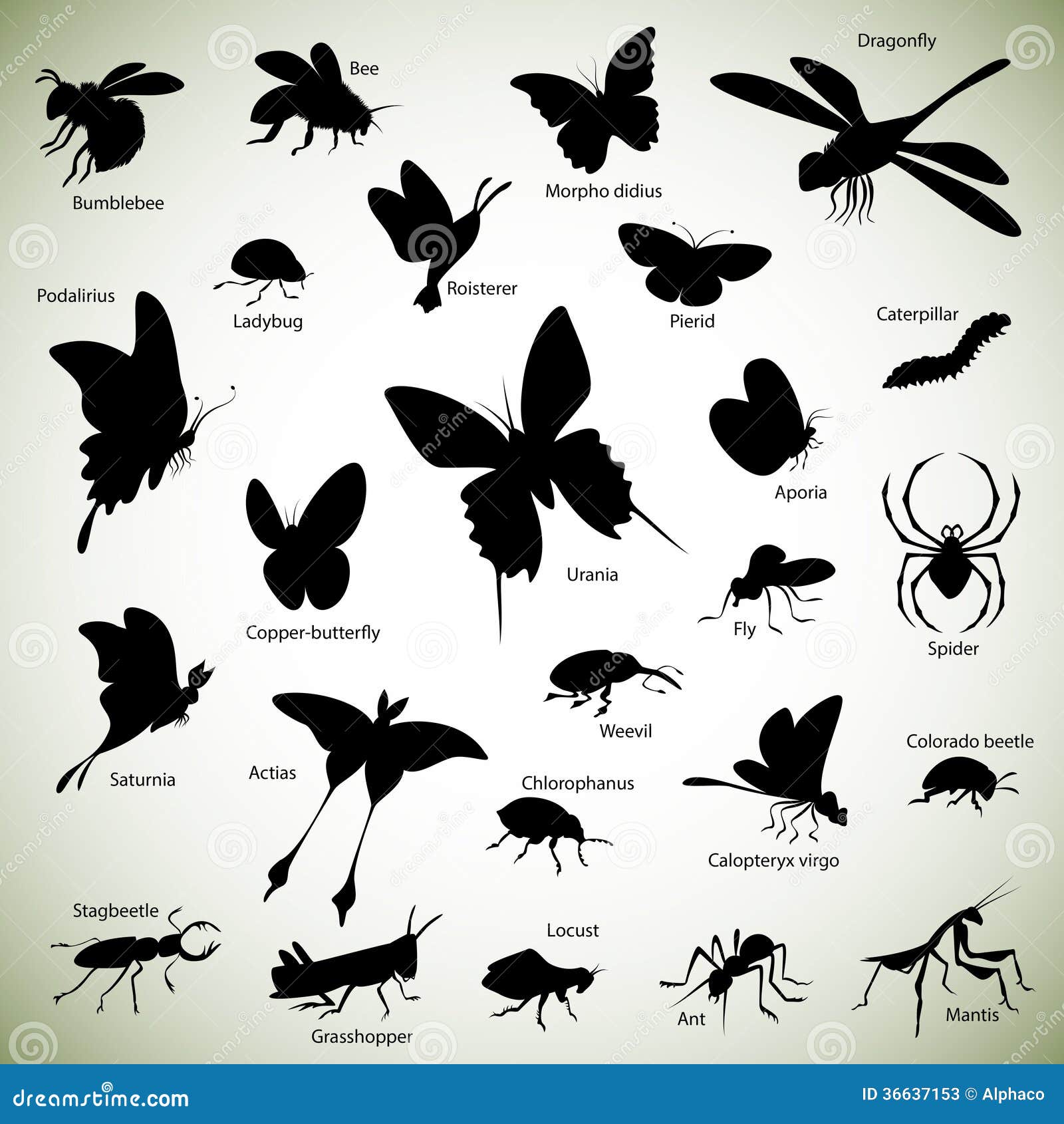 Insects silhouettes stock vector. Illustration of dragonfly - 36637153