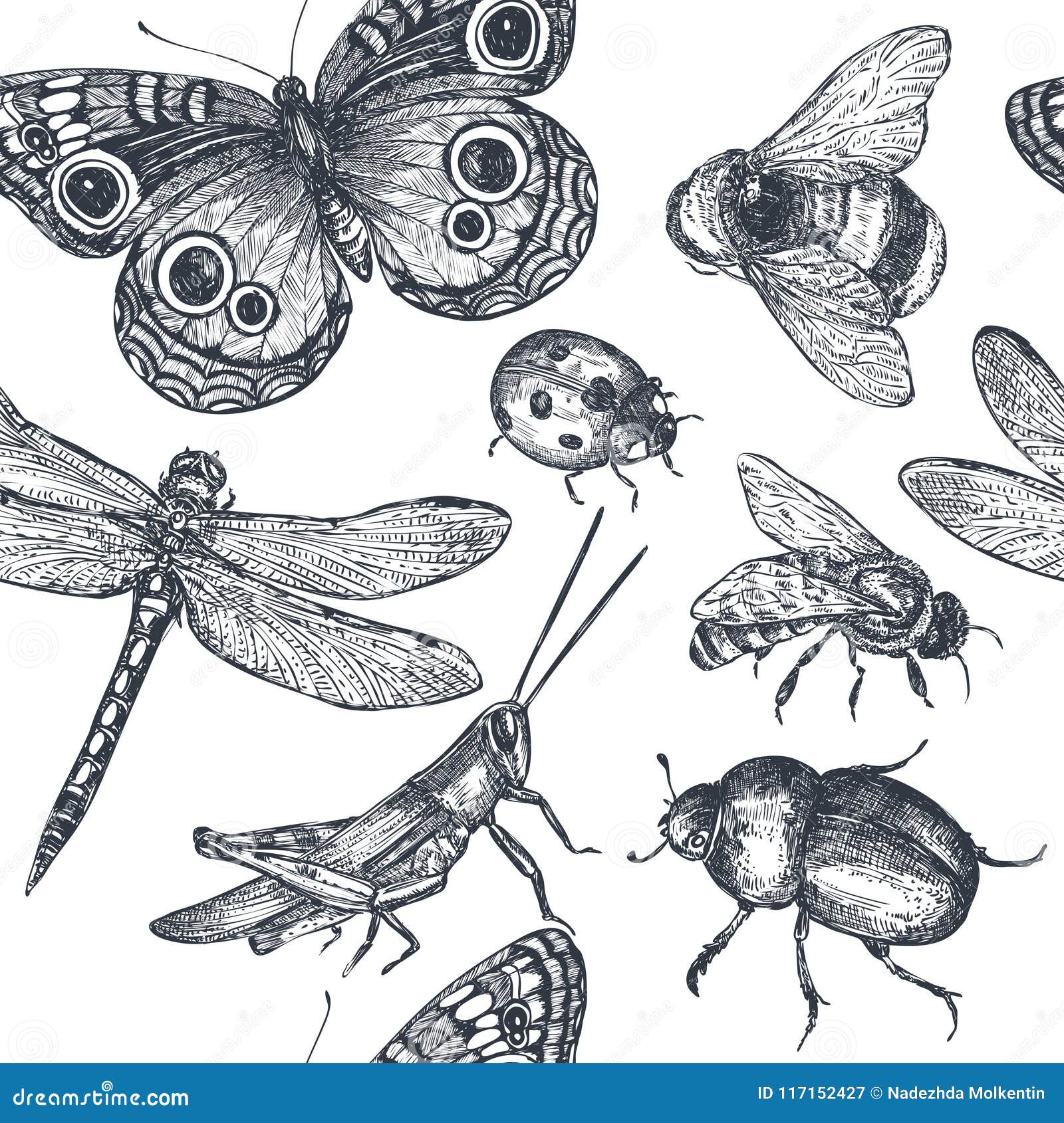 Insects Sketch Decorative Seamless Pattern Stock Vector - Illustration ... Insects Sketch Decorative Seamless Pattern Stock Vector - Illustration ...
