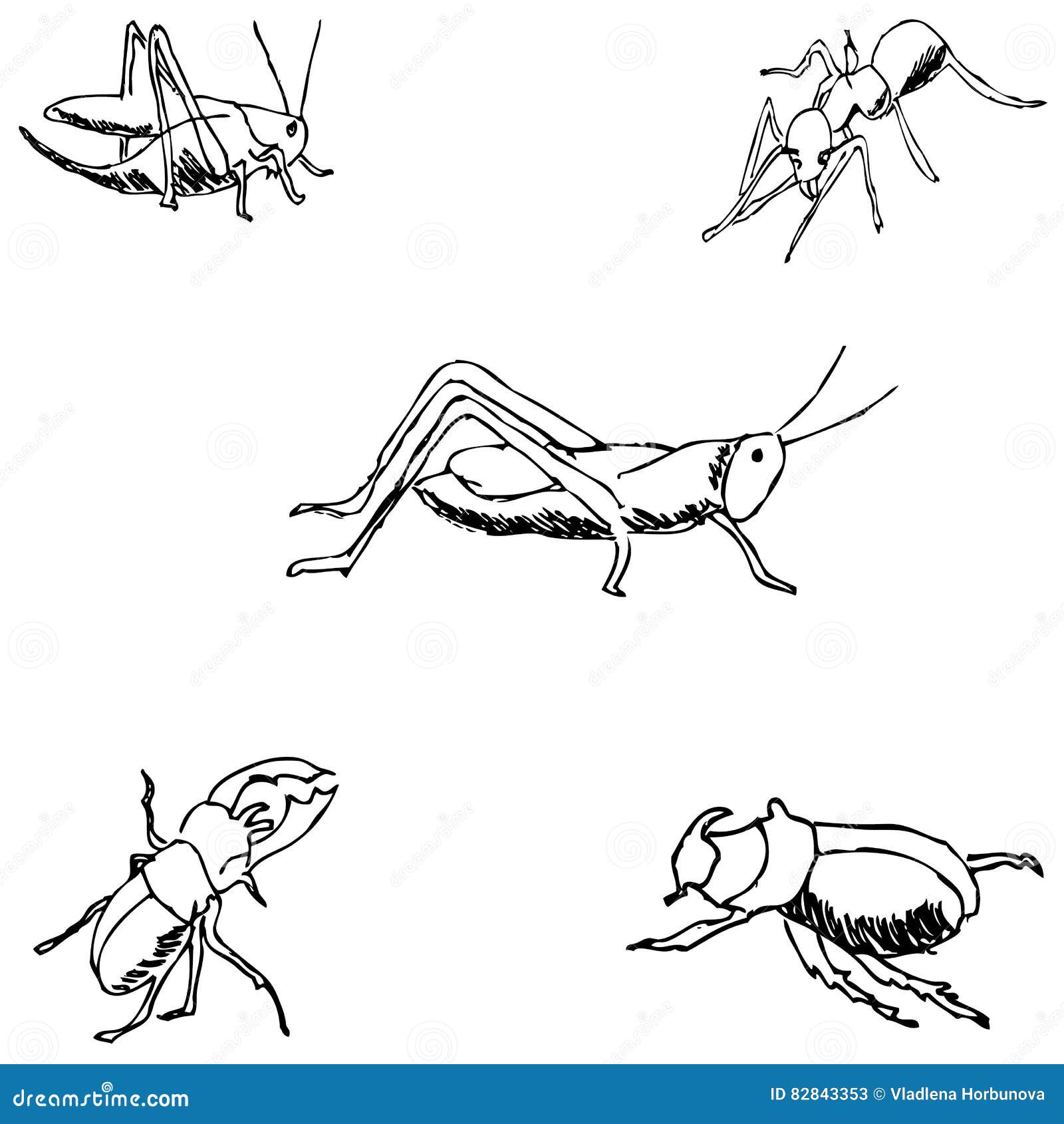 Insects. a sketch by hand stock vector. Illustration of insect - 82843353