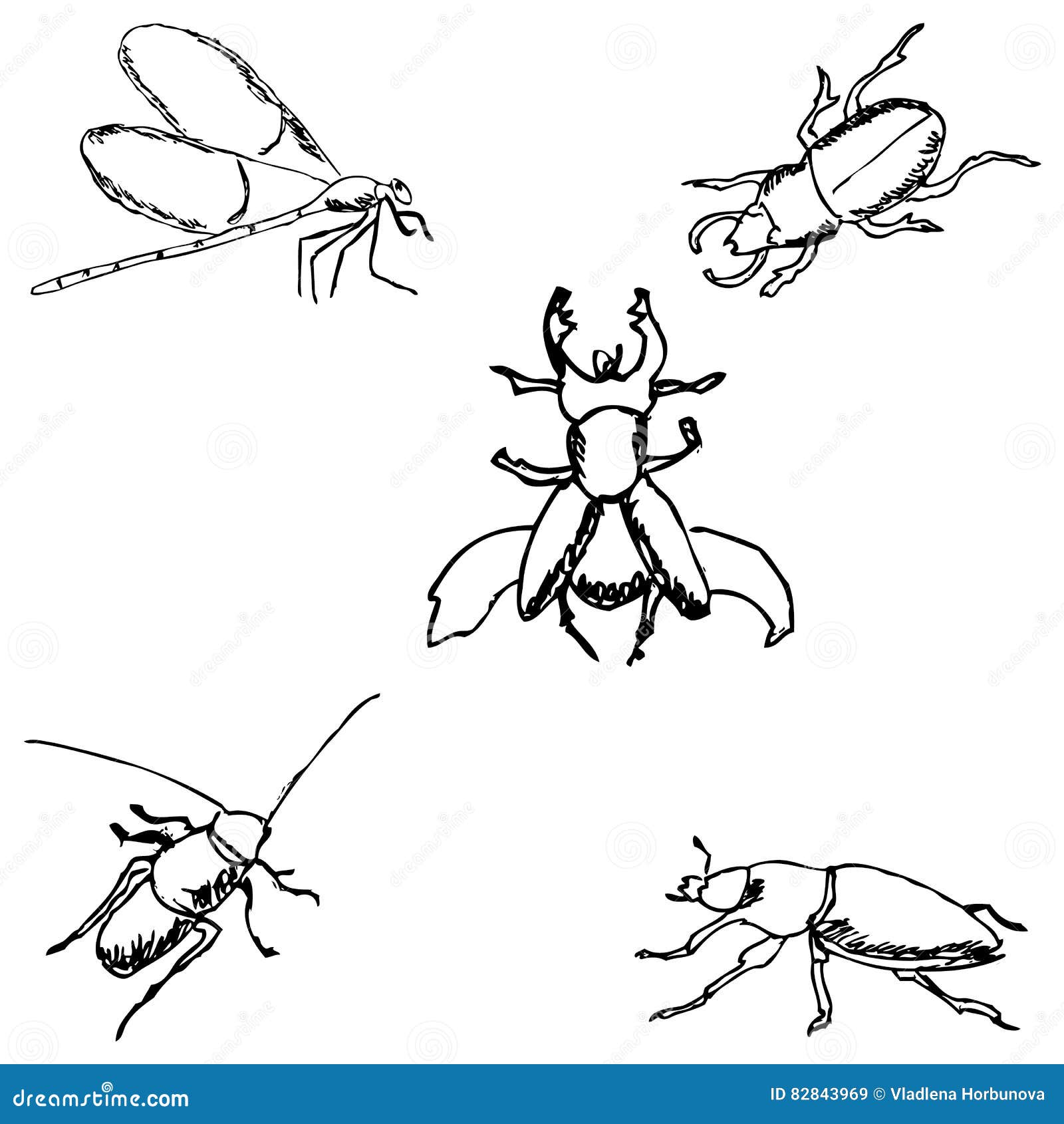 Insects. A Sketch By Hand. Pencil Drawing Cartoon Vector ...