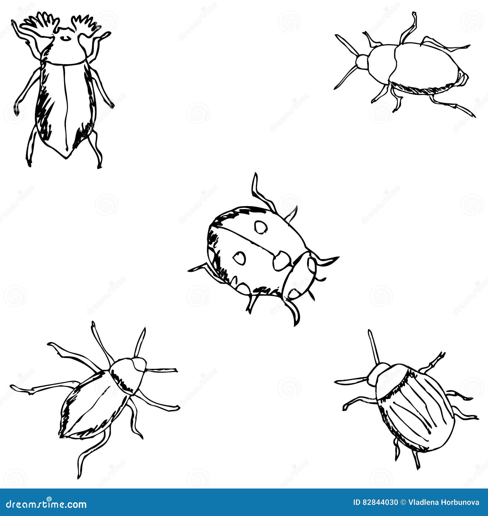 Insects. a sketch by hand stock vector. Illustration of character ...