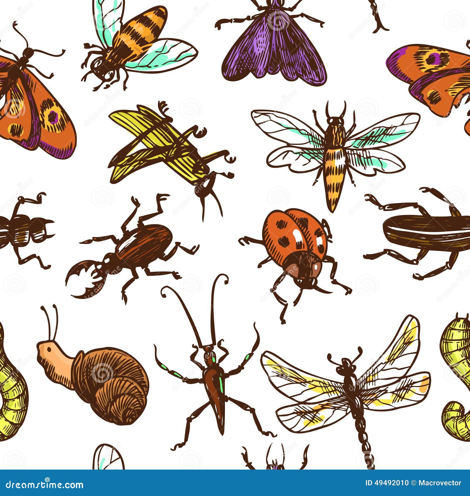 Insects. A Sketch By Hand. Pencil Drawing Cartoon Vector ...