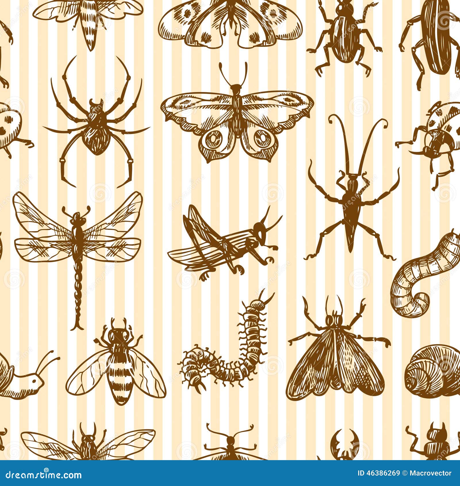 Insects Sketch Seamless Pattern Monochrome Stock Vector - Illustration ...
