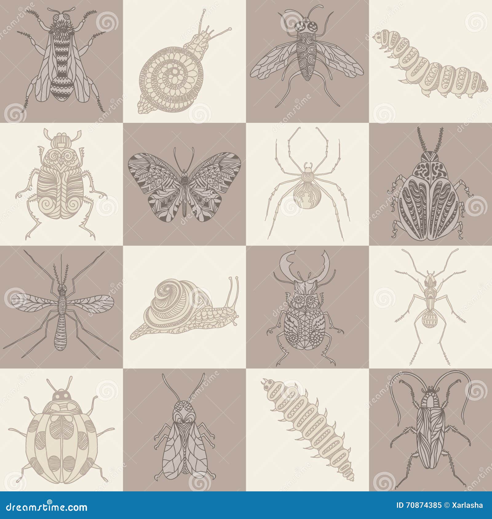 Insects. Squares on Brown Shades in a Checkerboard Pattern. Stock ...