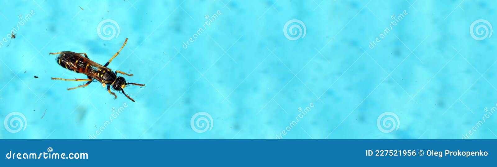 Royalty Free Images, Cartoons, Illustrations And Photos Designed By ...