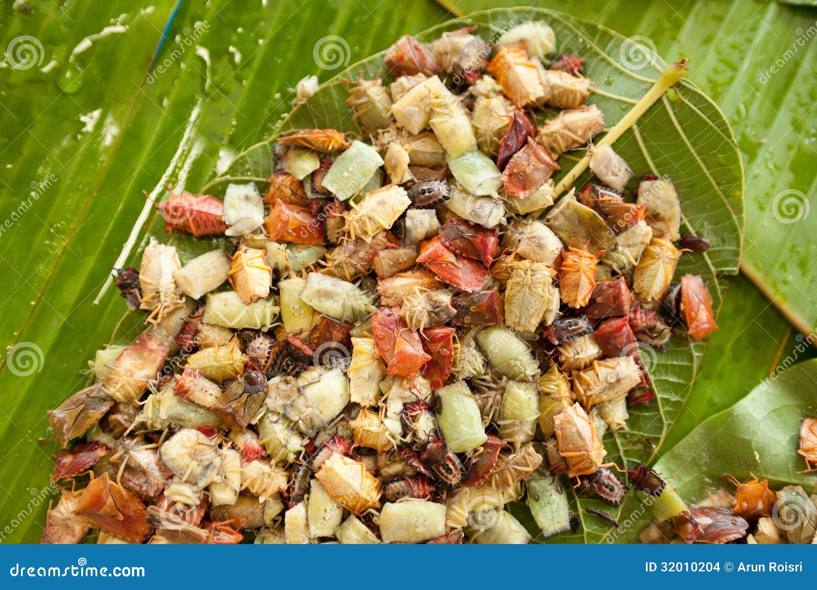 Insects in Thai Rural Market Stock Photo - Image of larva, macro: 32010204