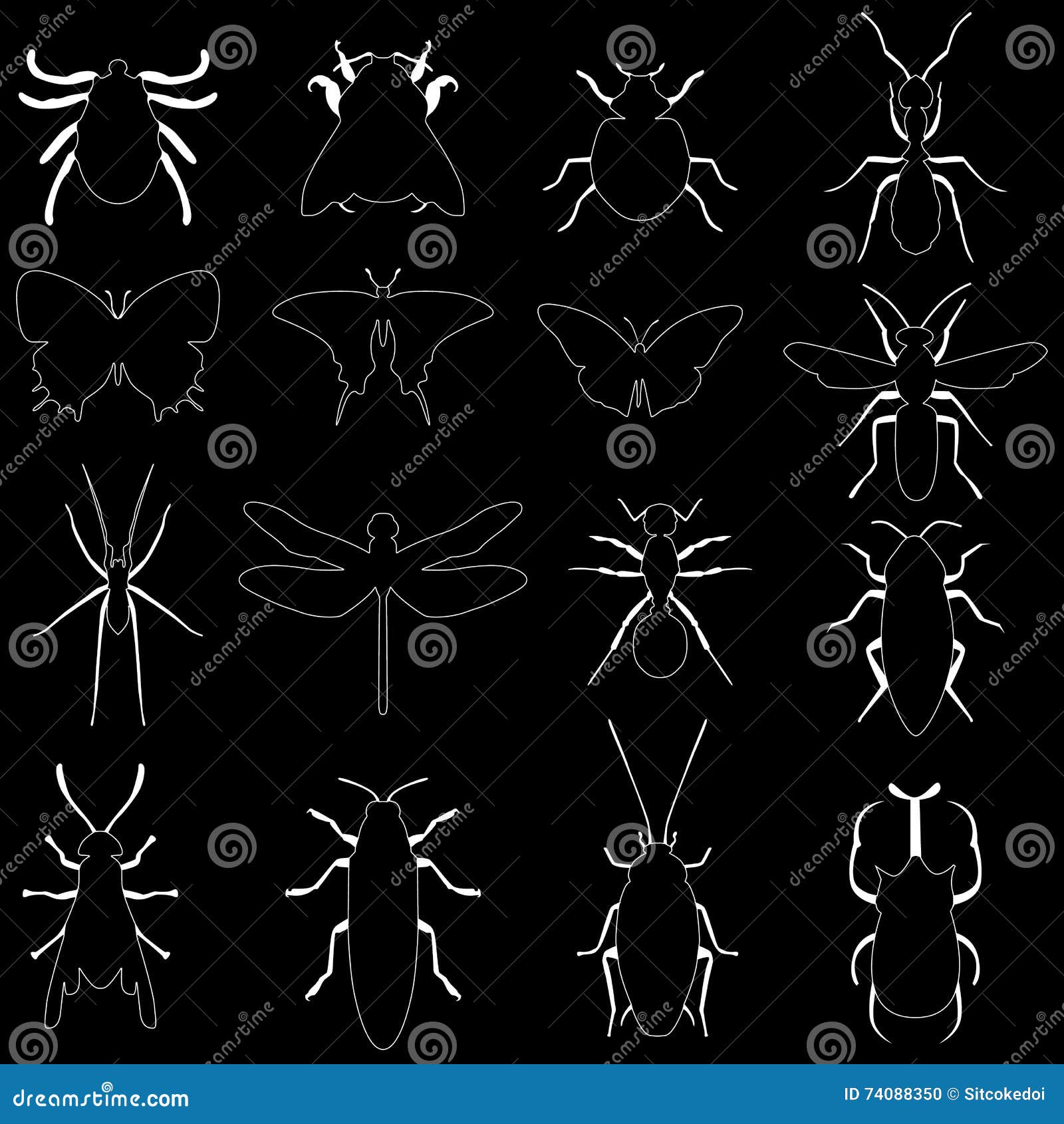 Insects vector collection. stock vector. Illustration of creature ...