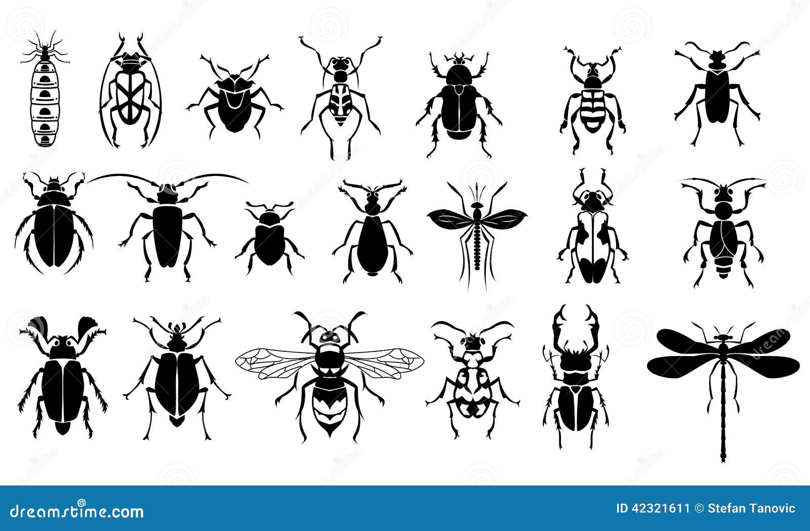 Insects vector set stock vector. Illustration of bellicosus - 42321611