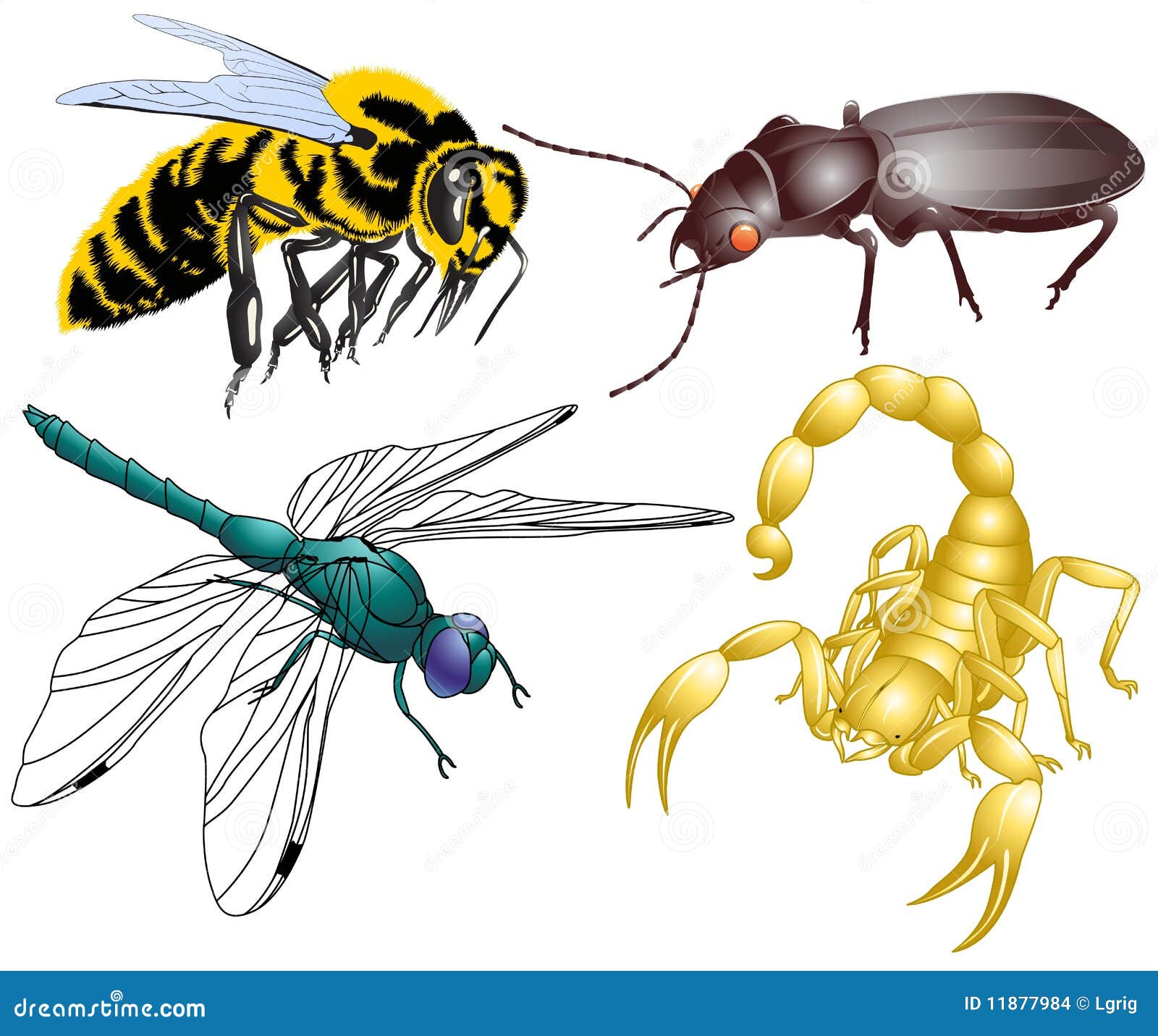 Insekte vektor abbildung. Illustration von vektor, flug - 11877984