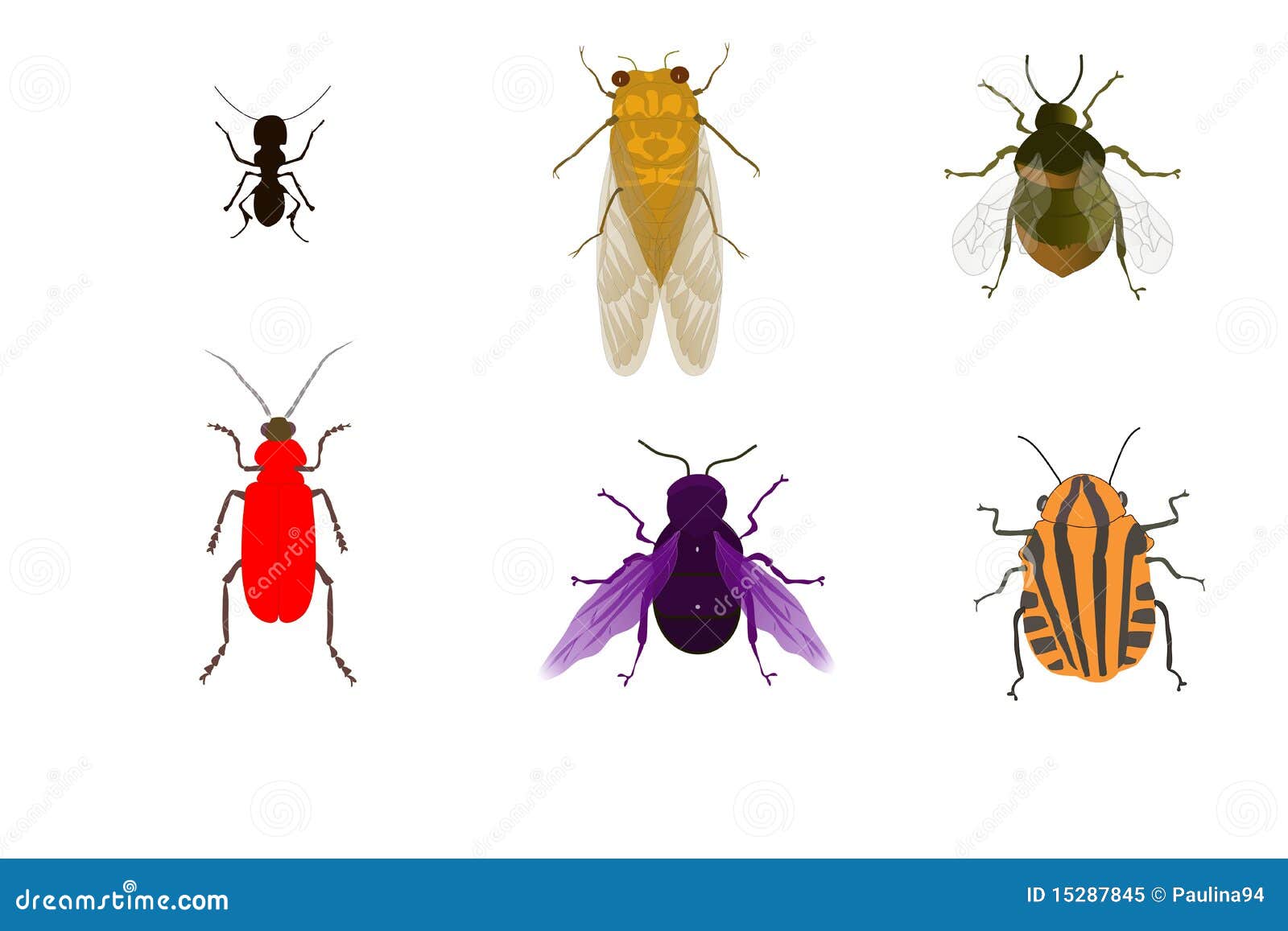 Insekte vektor abbildung. Illustration von gestreift - 15287845