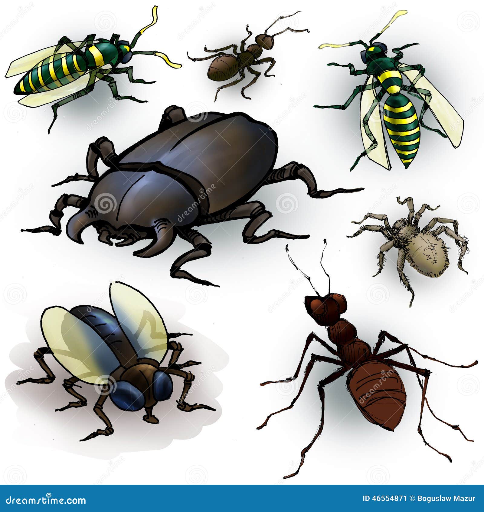 Insekte stock abbildung. Illustration von fliege, antenne - 46554871