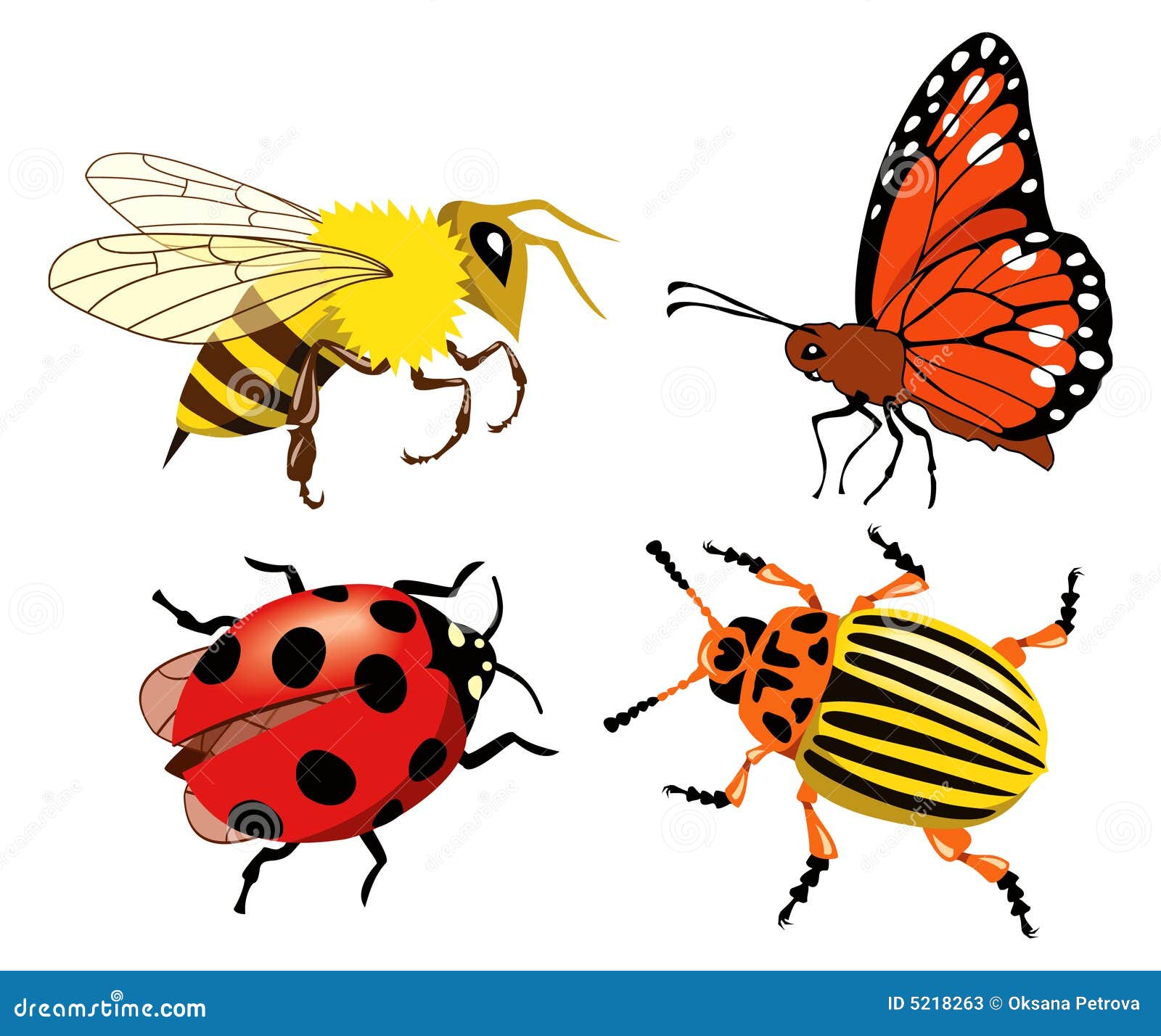 Insekte vektor abbildung. Illustration von nave, insekt - 5218263