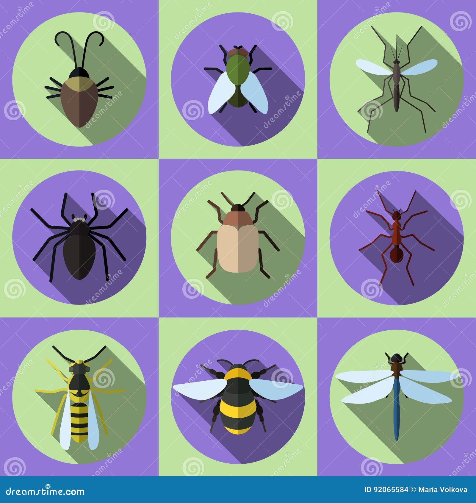 Insekte - Set stock abbildung. Illustration von spinne - 92065584