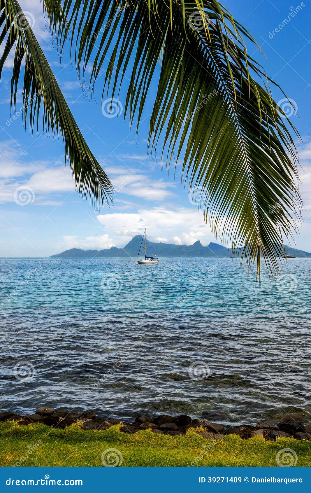 Insel Von Moorea.French Das Polynesien Stockbild - Bild von gesund ...