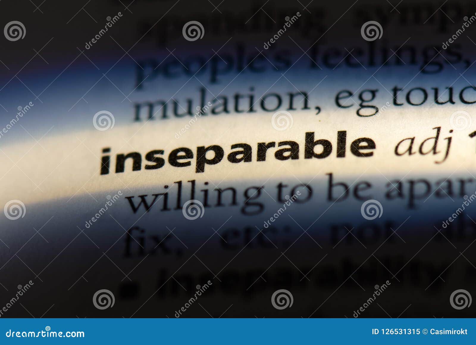 Inseparable stock image. Image of info, page, macro - 126531315