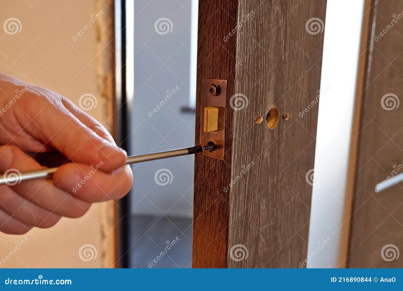 Insert of Latch and Handle into the Interior Door. Close-up View of the ...