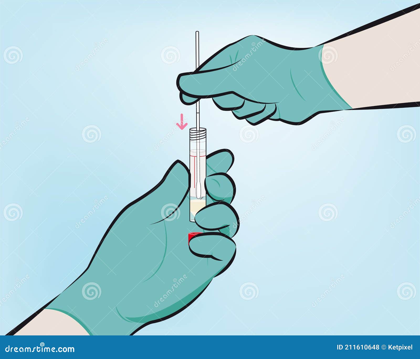6-Insert the Swab into the Tube Stock Illustration - Illustration of ...