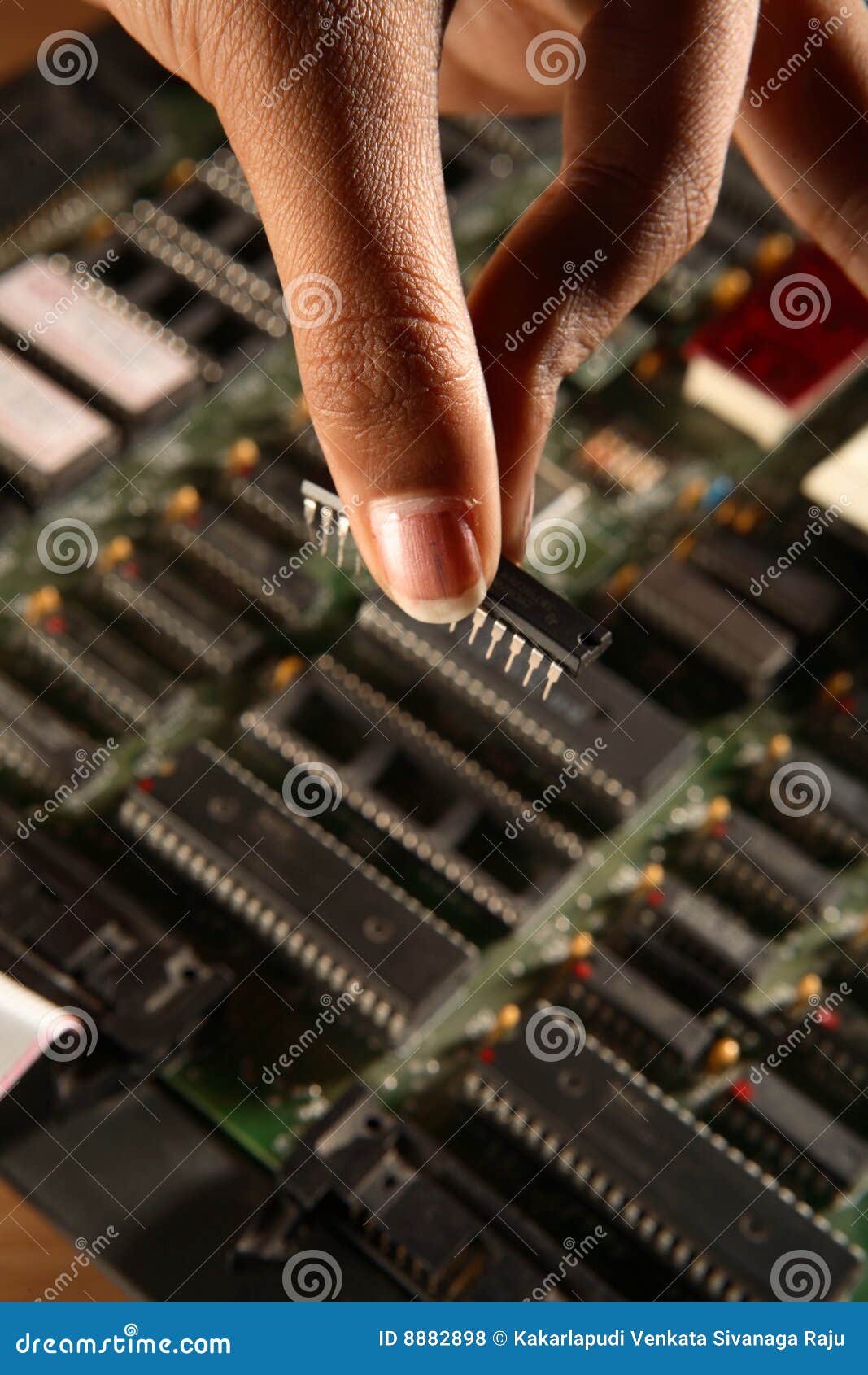 Inserting Chip stock photo. Image of delicate, engineer - 8882898
