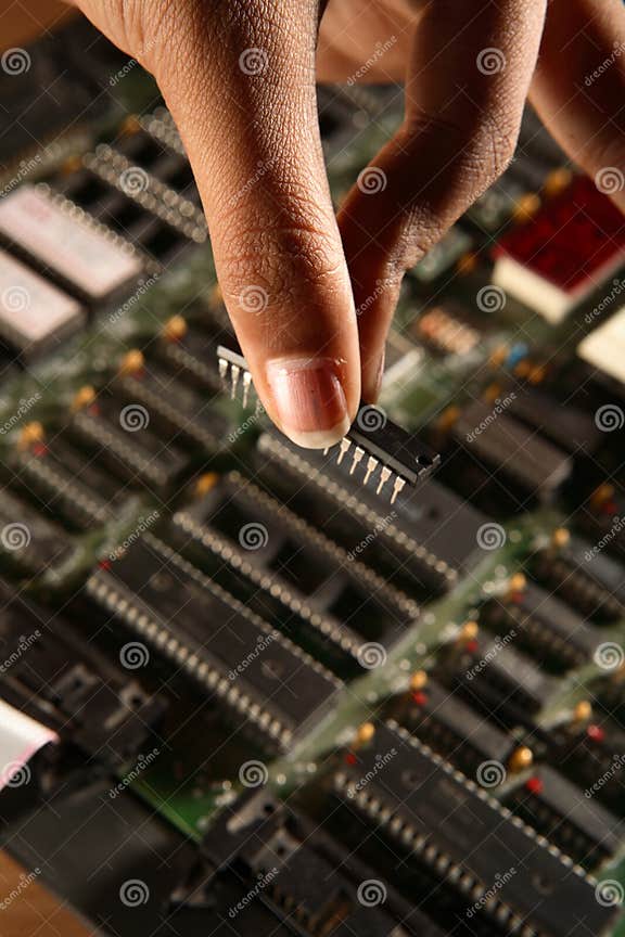 Inserting Chip stock photo. Image of delicate, engineer - 8882898