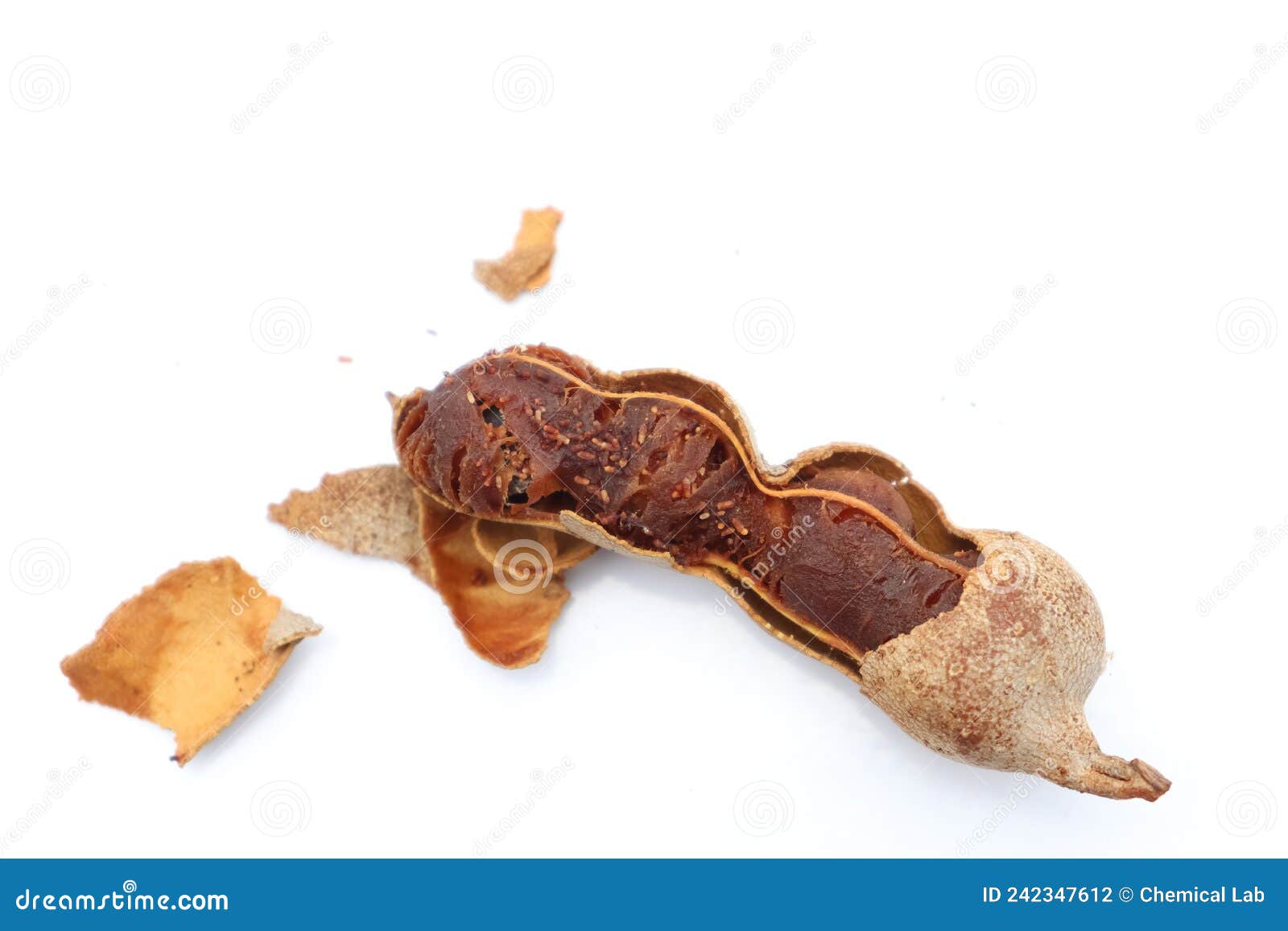 Insetos comem samarind foto de stock. Imagem de inimigo - 242347612