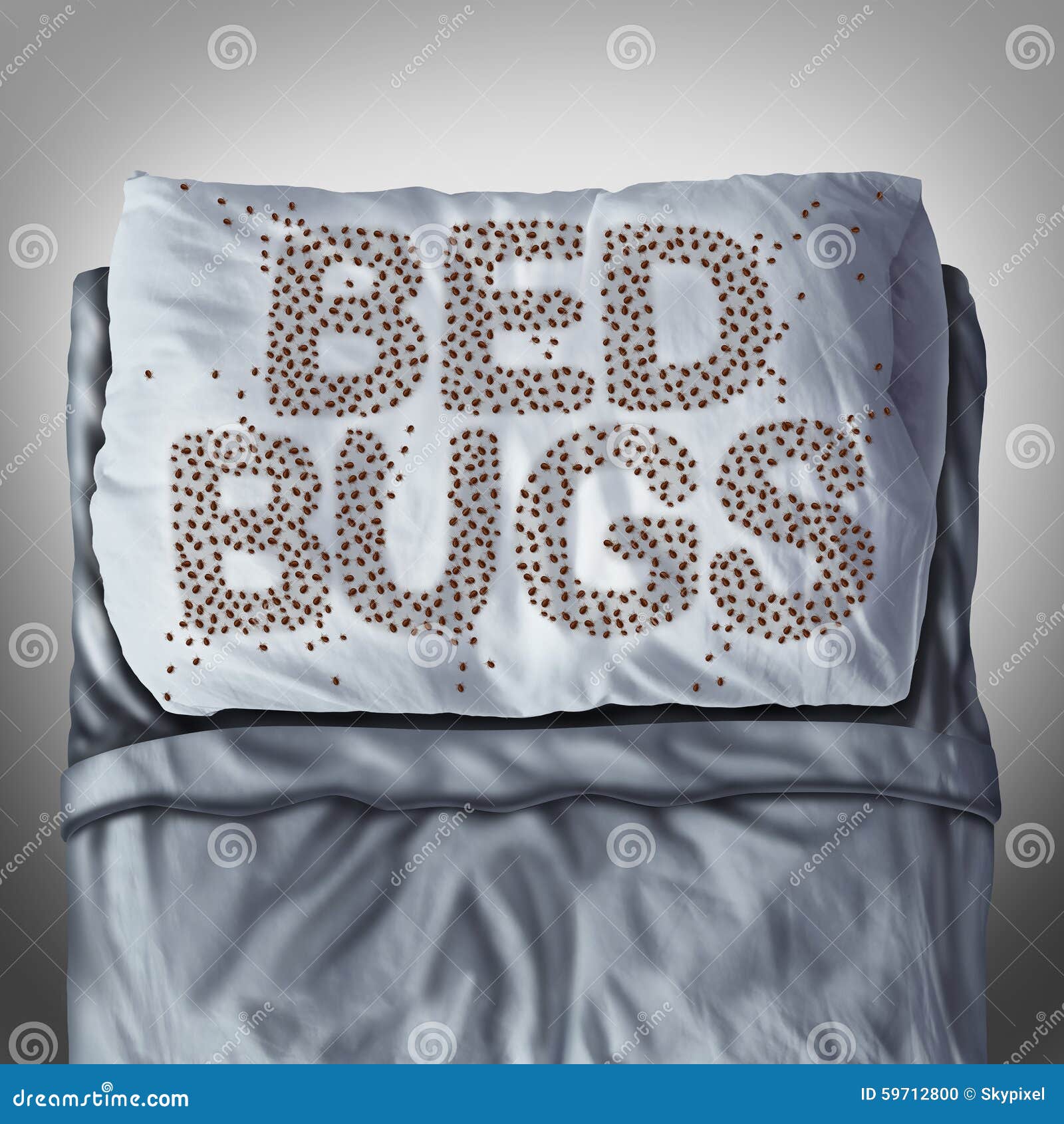 Insetti Di Letto Sul Cuscino Illustrazione di Stock - Illustrazione di ...