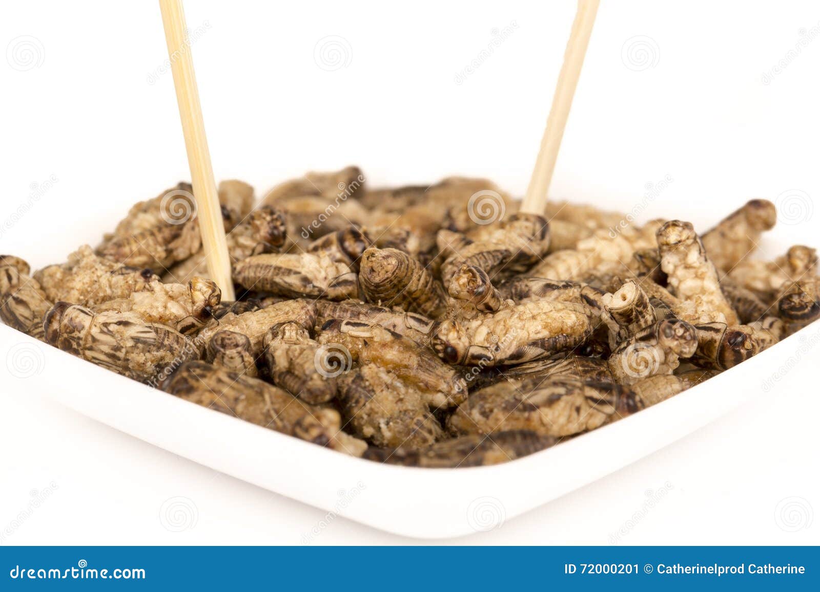 Insetti fritti del grilli immagine stock. Immagine di sano - 72000201