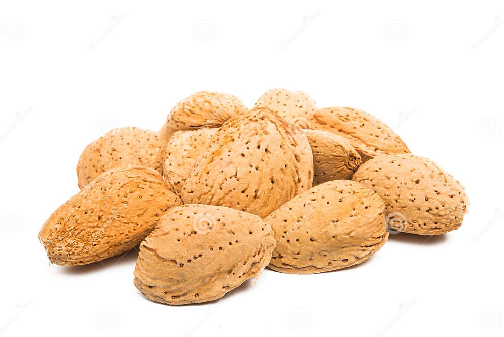 Inshell almond isolated stock photo. Image of ingredient - 131314516