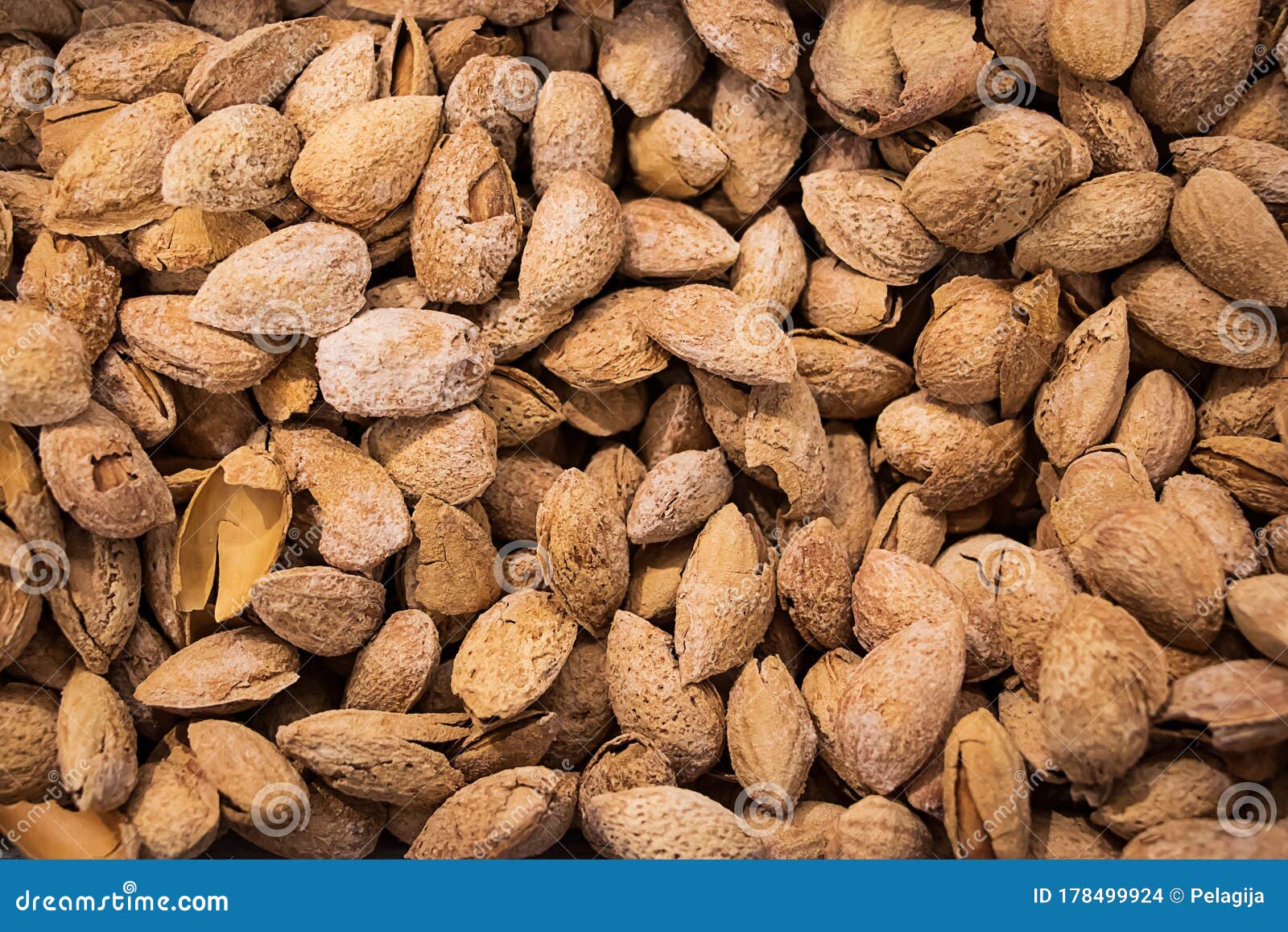 Inshell Almonds. a Source of Protein for Healthy Eating Stock Photo ...