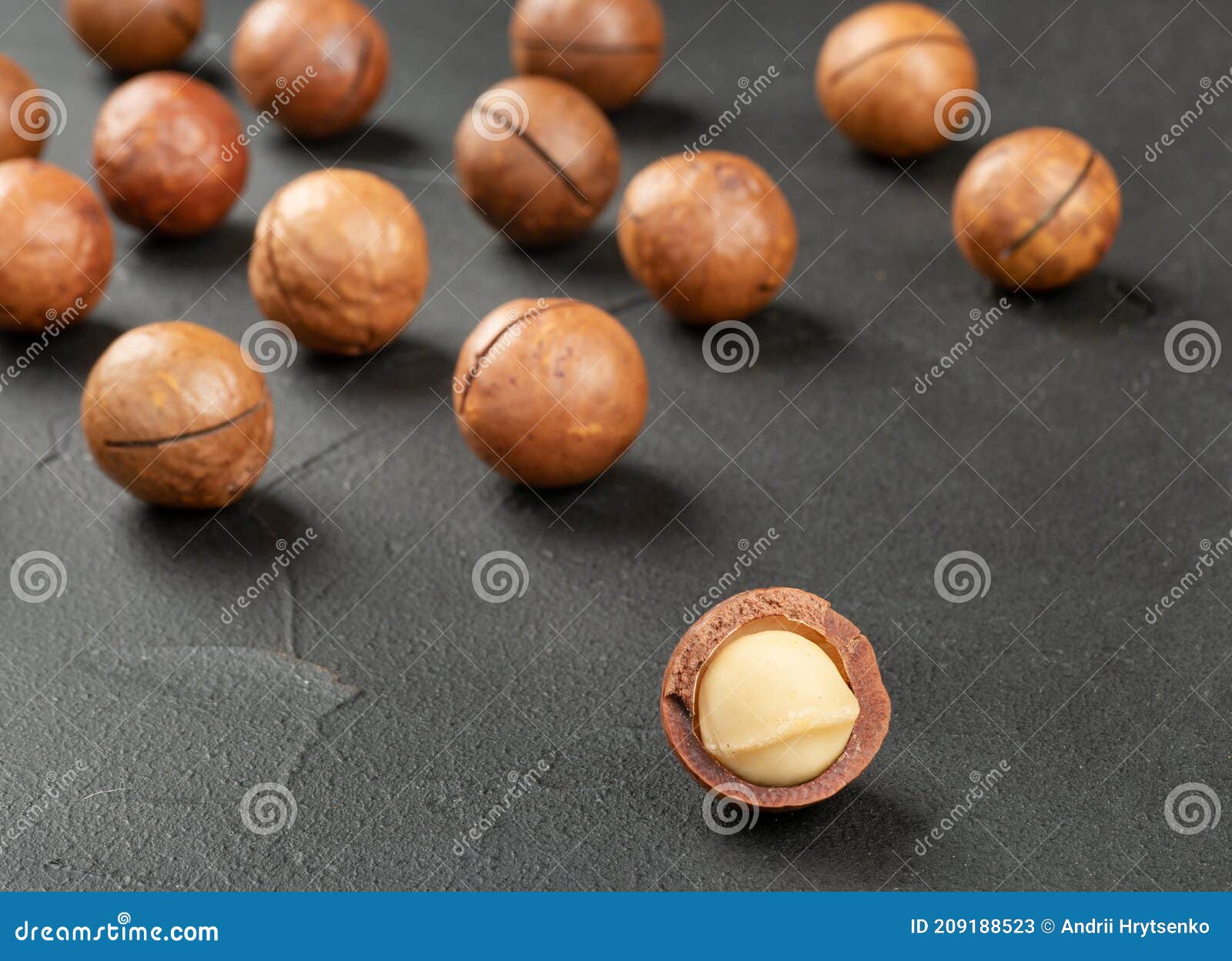 Inshell macadamia nut stock image. Image of nutrition - 209188523
