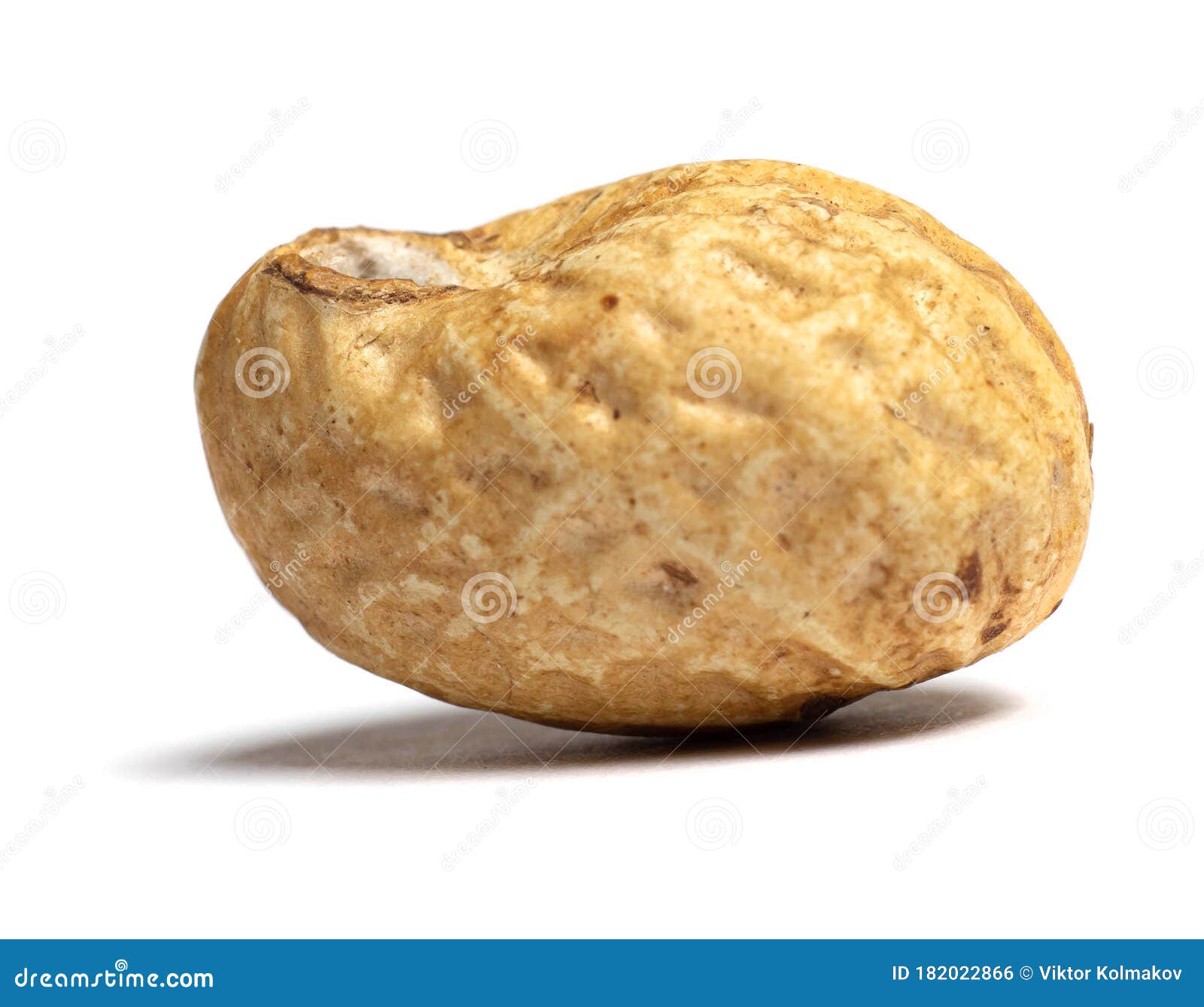 Inshell Peanuts Isolated stock photo. Image of group - 182022866