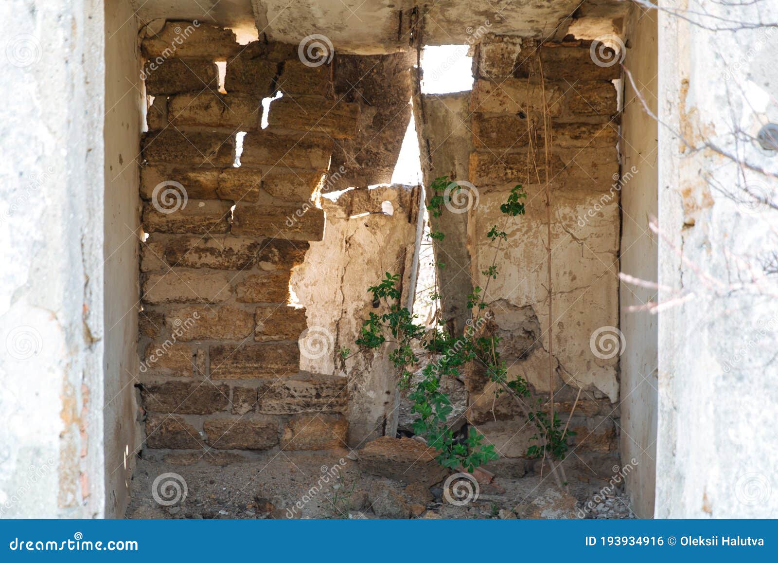 The Old Wall With Collapsed Plaster And Visible Wooden Crates. Royalty ...