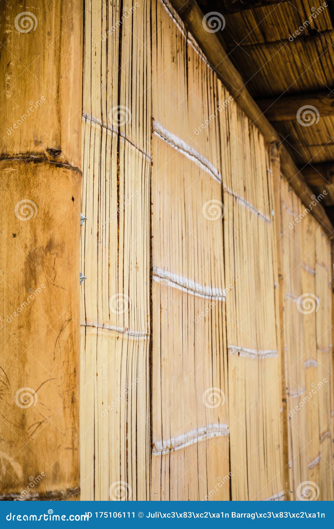 Inside bamboo stock image. Image of bamboo, inside, used - 175106111
