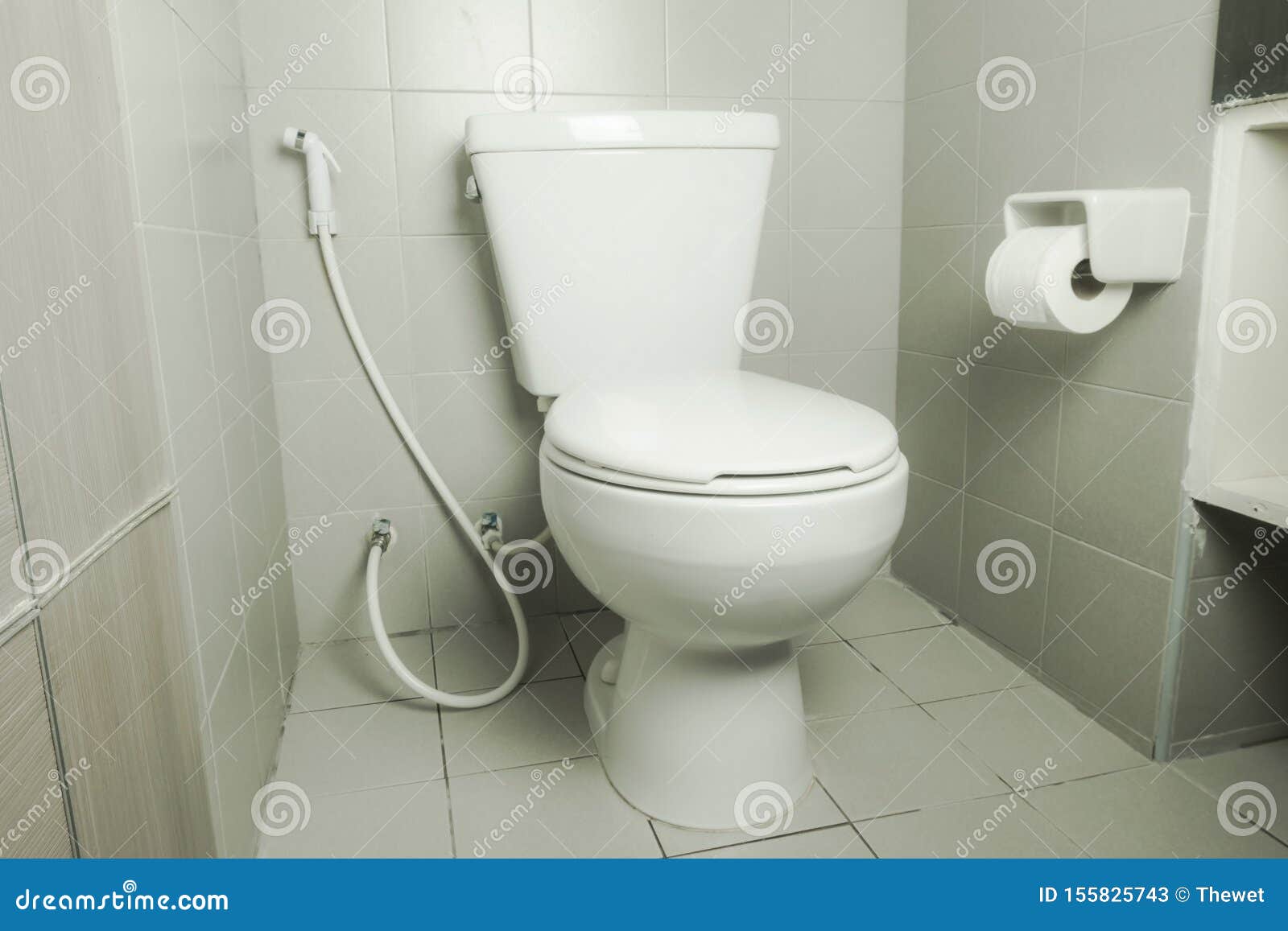 Inside Bathroom with Toilet Bowl Stock Image - Image of washroom ...