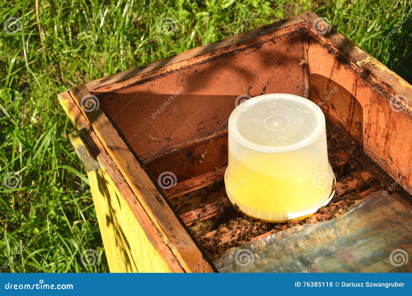 Inside of Beehive Container with Sweet Syrup for Feeding Bees Stock ...