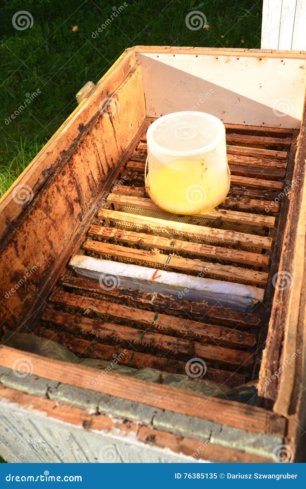 Inside of Beehive Container with Sweet Syrup for Feeding Bees Stock ...