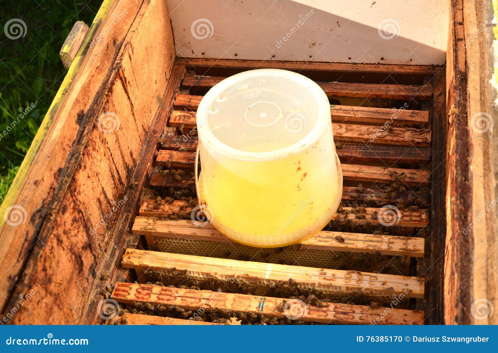 Inside of Beehive Container with Sweet Syrup for Feeding Bees Stock ...
