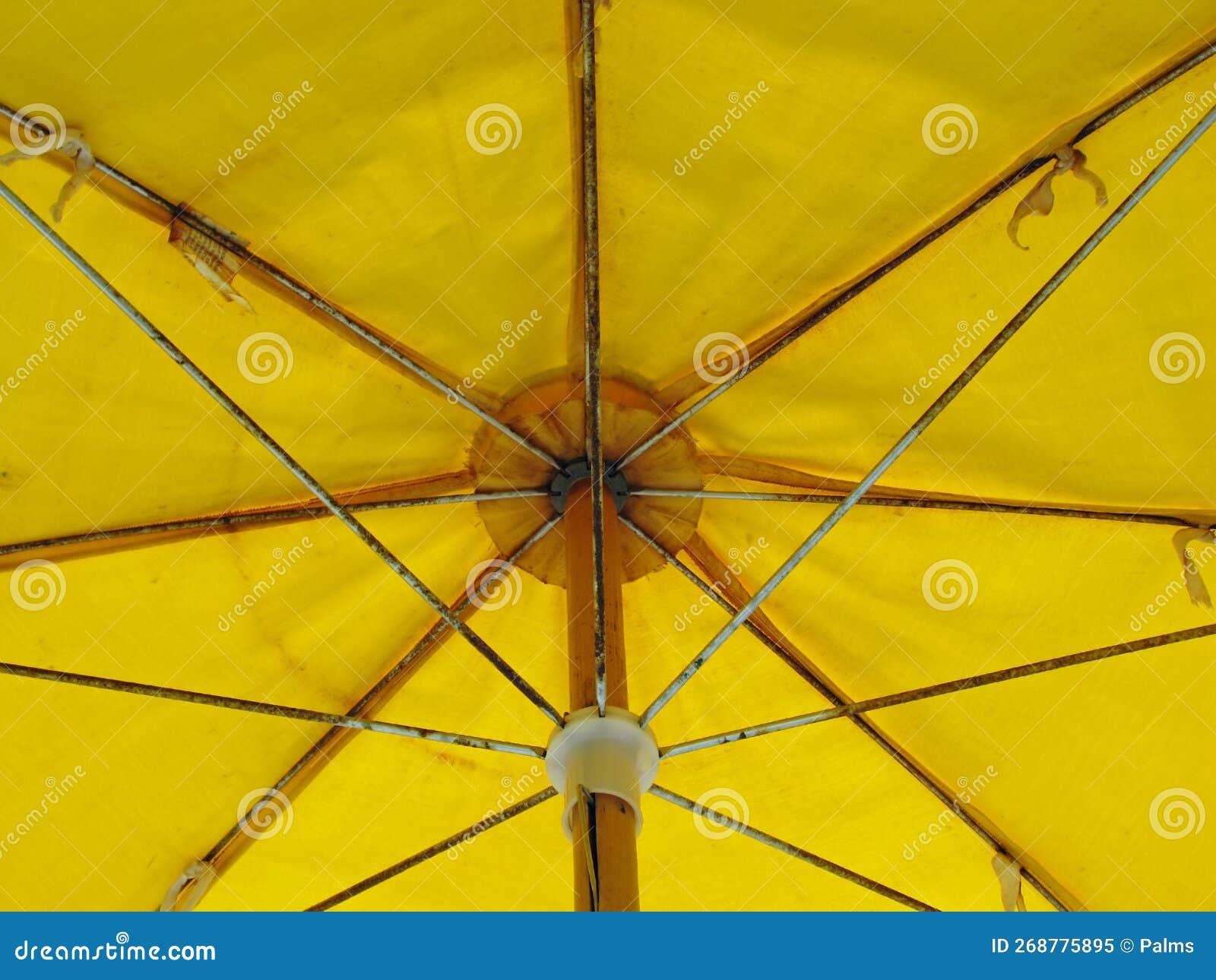 Inside a Big Yellow Colored Umbrella Stock Image - Image of inside ...