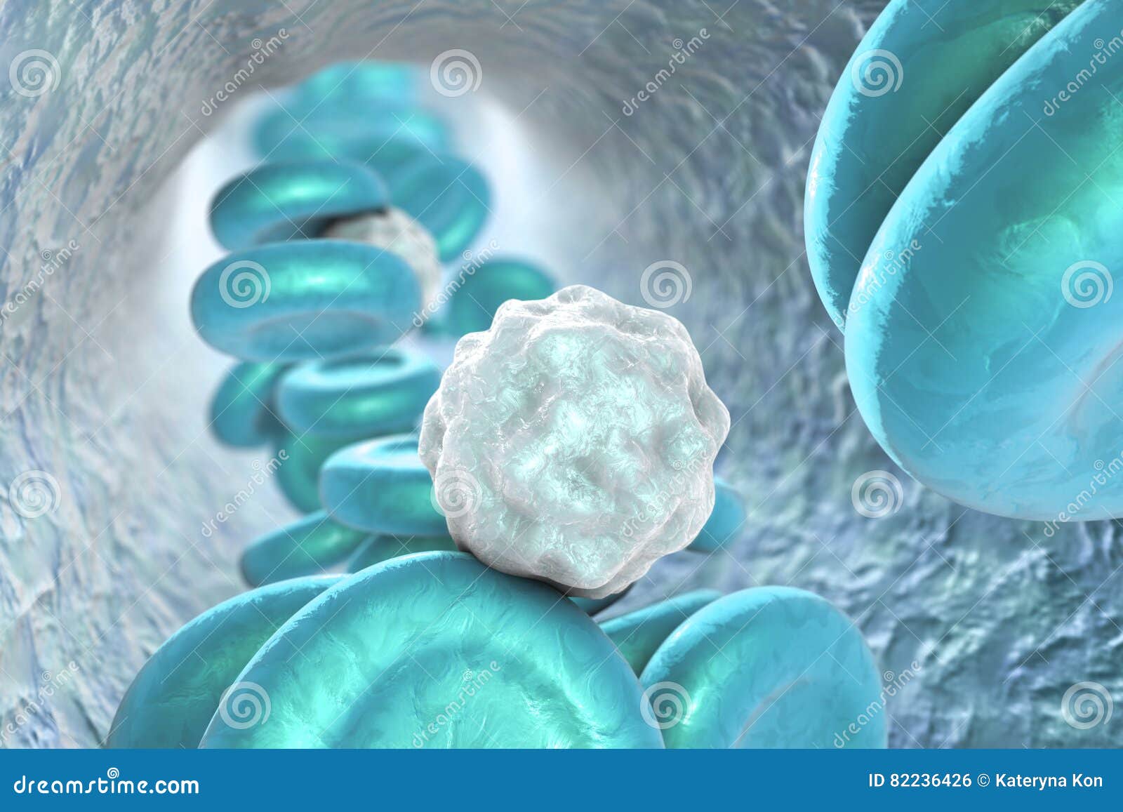 Inside blood vessel stock illustration. Illustration of cardiovascular ...