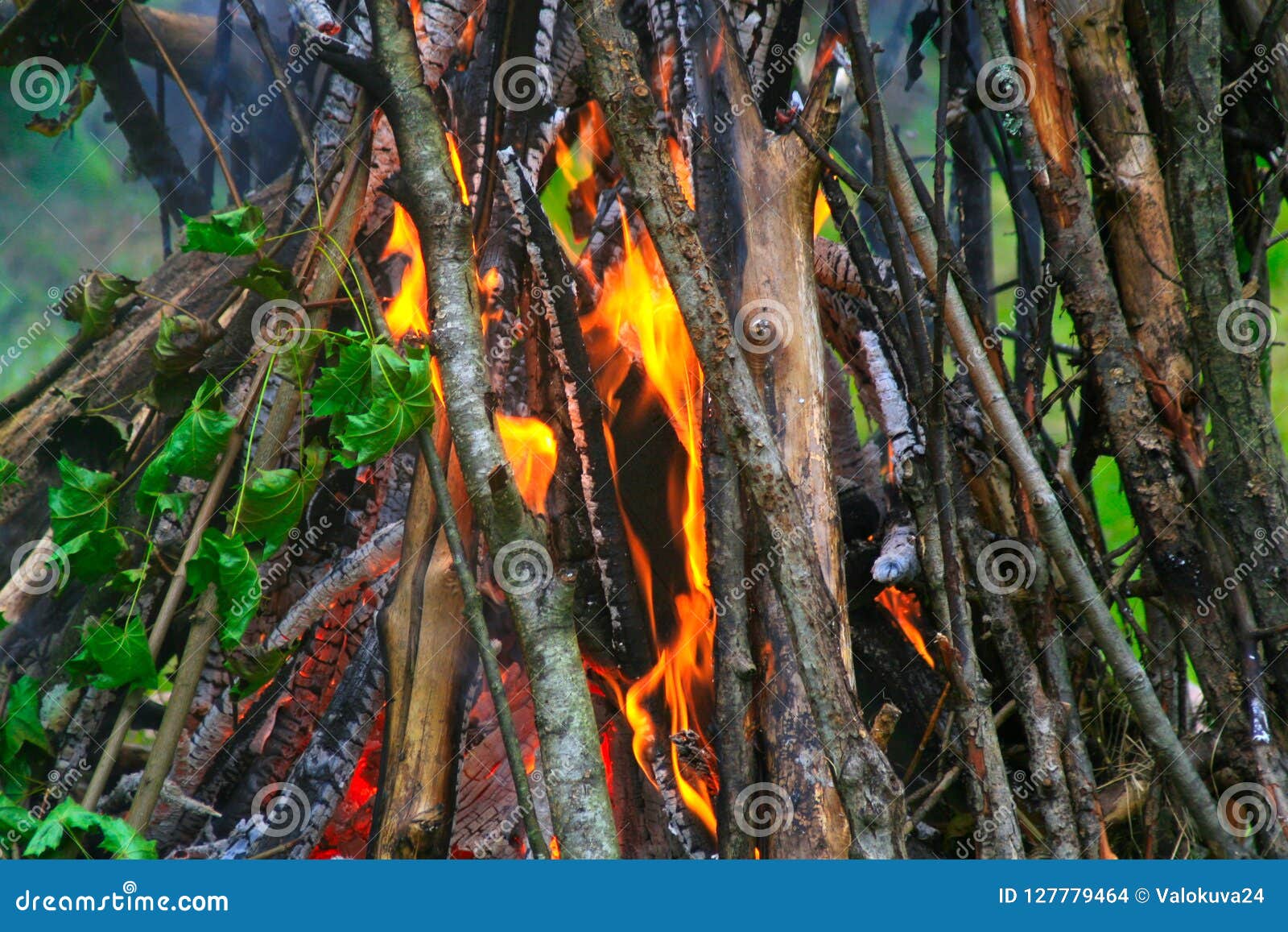 Inside the Bonfire stock photo. Image of leaf, colorful - 127779464