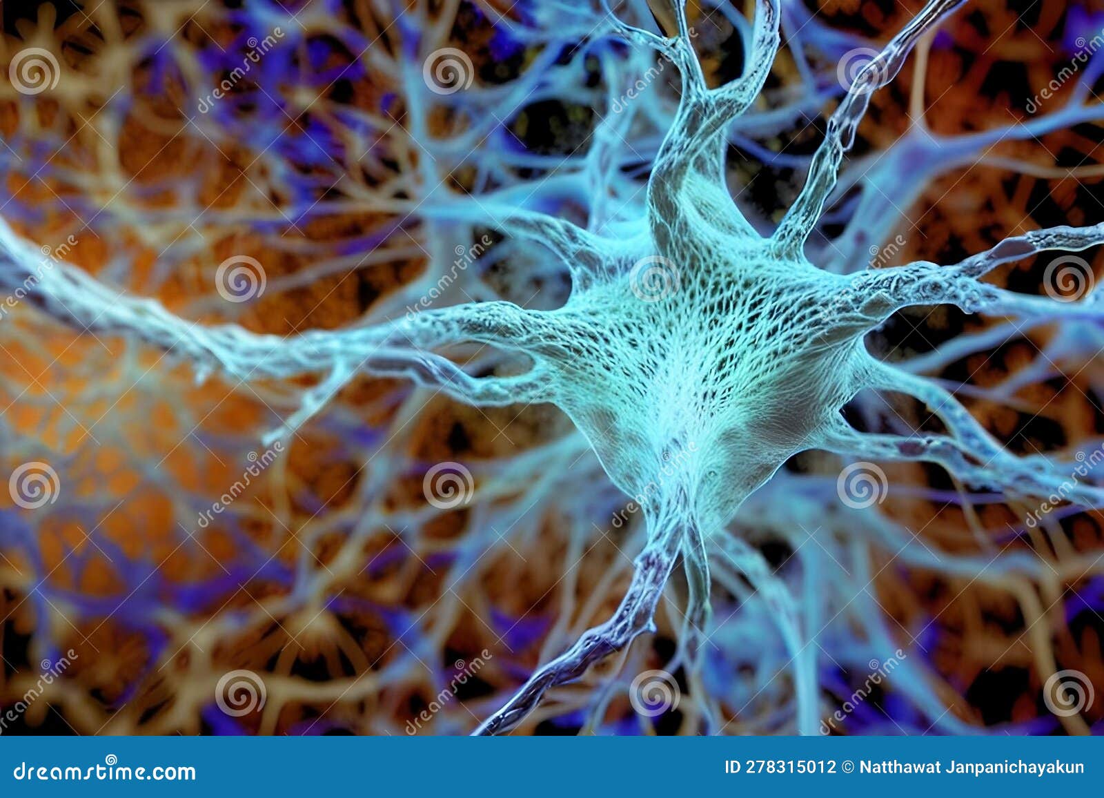 Concept of Neurons and Nervous System Stock Illustration - Illustration ...