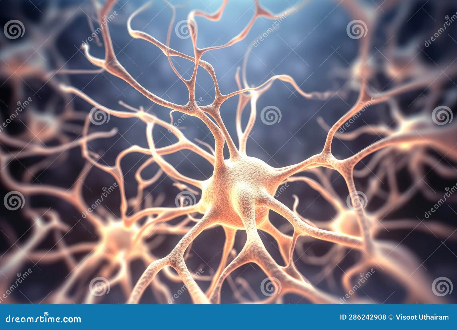 Inside the Brain and Human Body, Concept of Neurons and Nervous System ...
