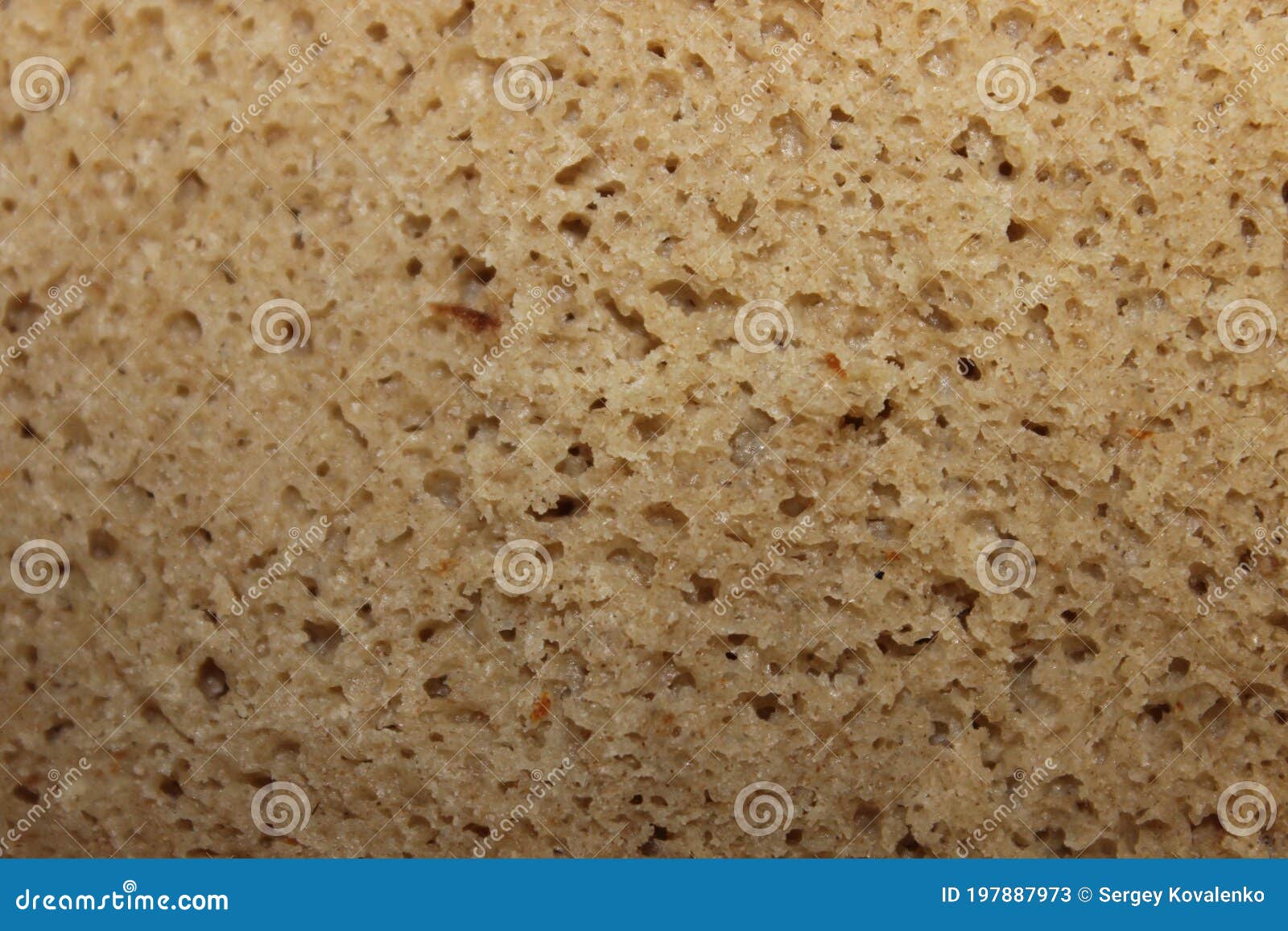 Brown Bread Surface Texture. Macro. Russia. Stock Image - Image of ...