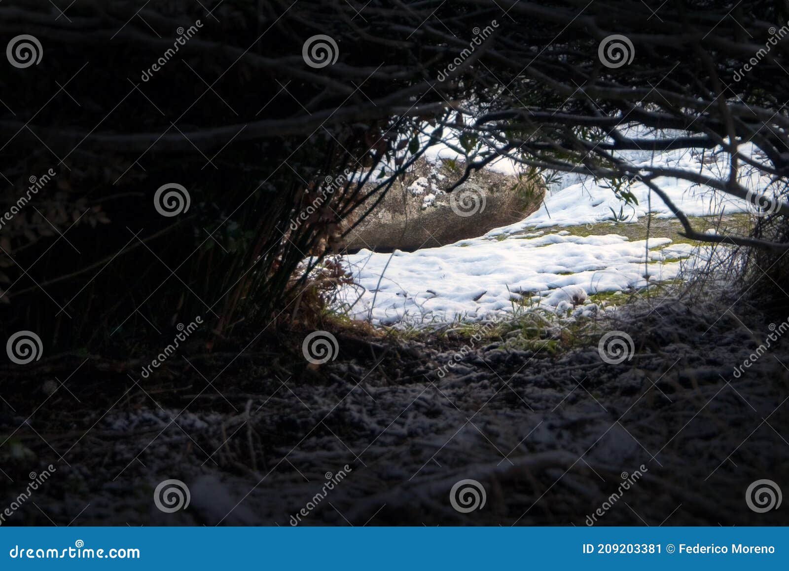 Inside the Burrow - Cold Winter Day Stock Image - Image of snowy ...