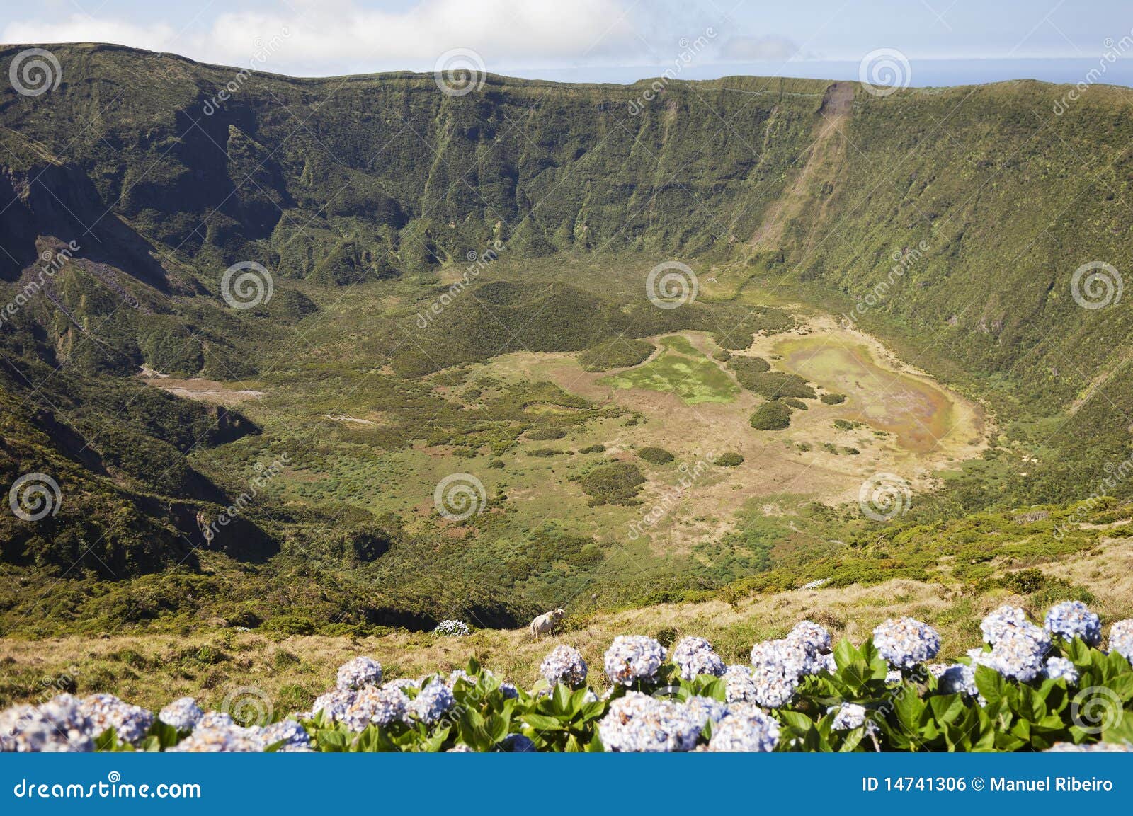 Inside of Caldeira Volcano in Faial, Azores Stock Photo - Image of huge ...