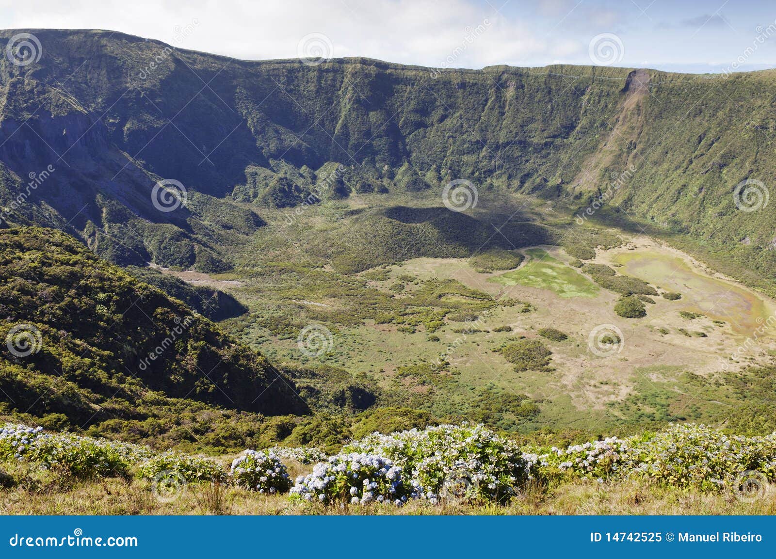 Inside of Caldeira Volcano in Faial, Azores Stock Image - Image of lush ...