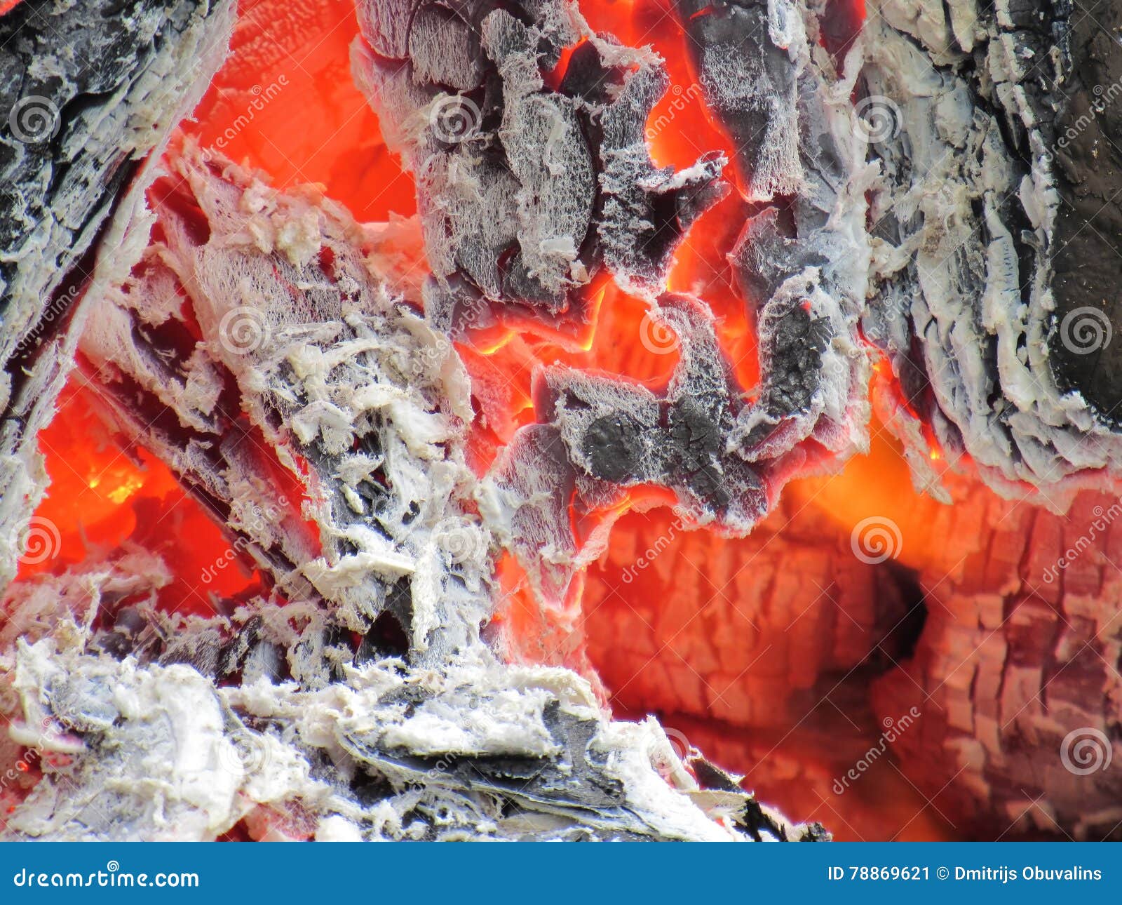 Inside the campfire stock image. Image of combustion - 78869621