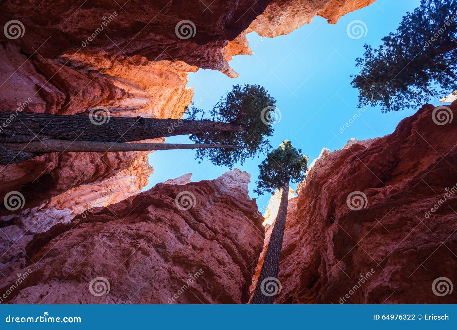 Inside Canyon, Bryce Canyon National Park Stock Photo - Image of inside ...