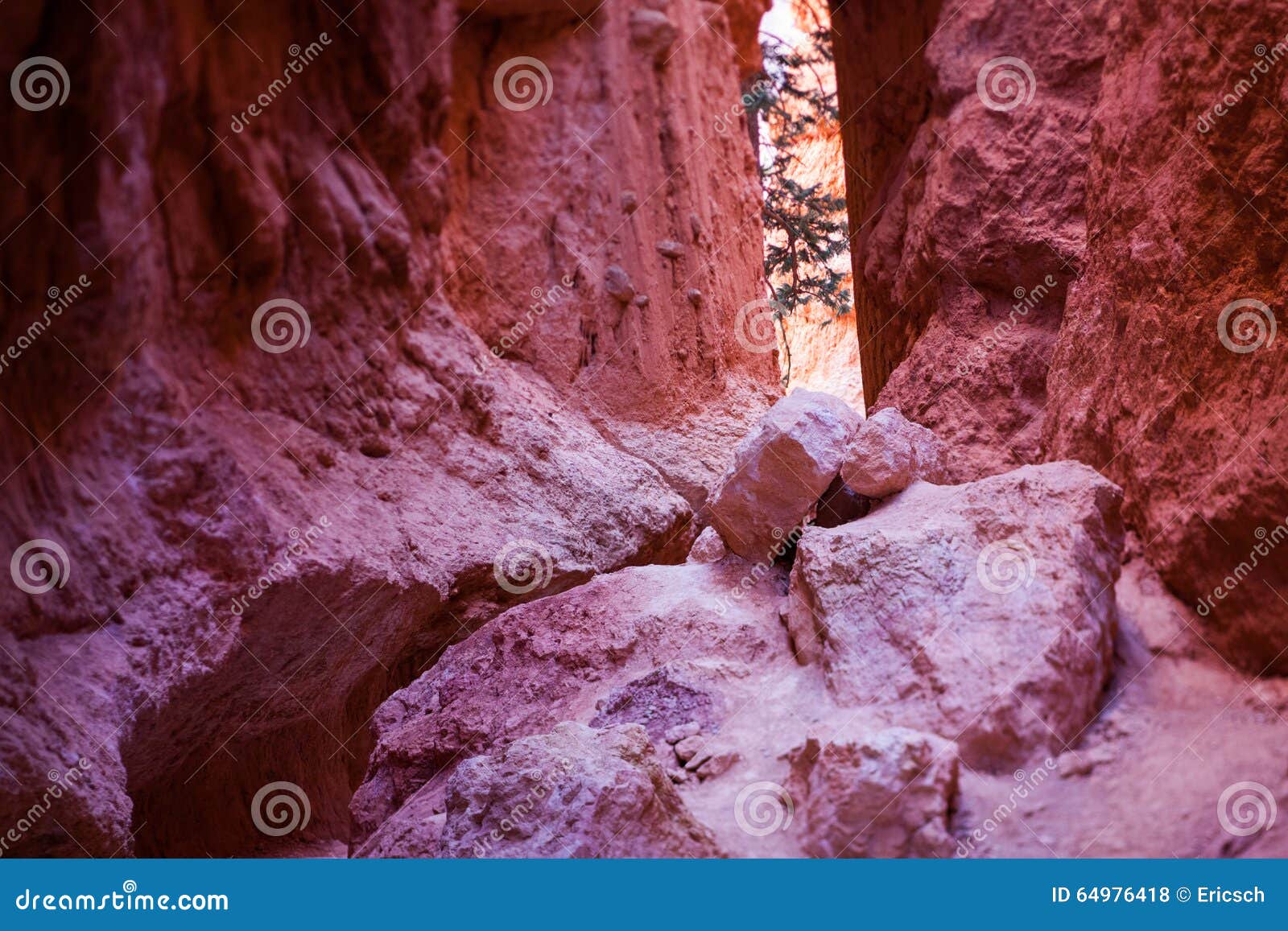 Inside Canyon, Bryce Canyon National Park Stock Photo - Image of rock ...