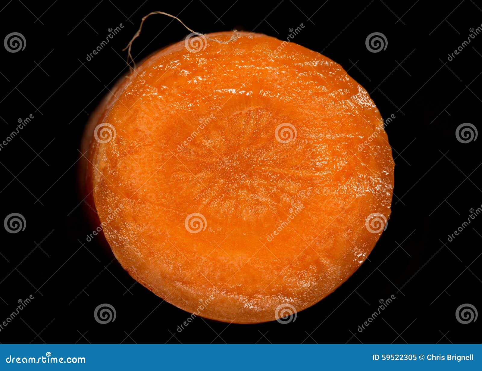 Inside of a carrot stock image. Image of pattern, isolated - 59522305